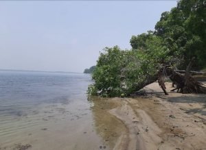 Chuka Beach - A Fascinating Offbeat Tourist Place in Pilibhit UP